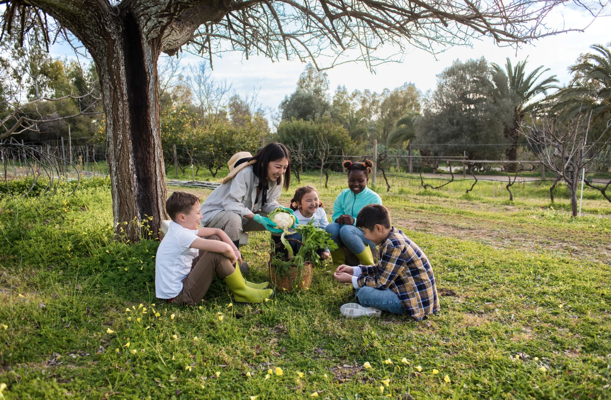 Embrace the Great Outdoors: A Guide for Teachers on Starting Outdoor ...