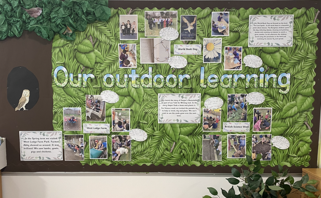 Bringing the Outdoors In: Setting Up a Classroom for the New Academic ...